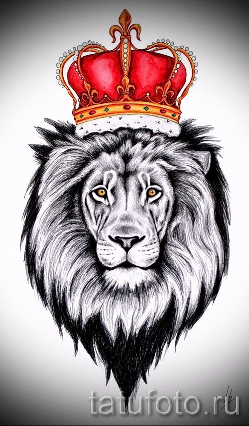 Lion De Tatouage Croquis Avec Couronne Images Pour Les Tatouages De 29042916 2